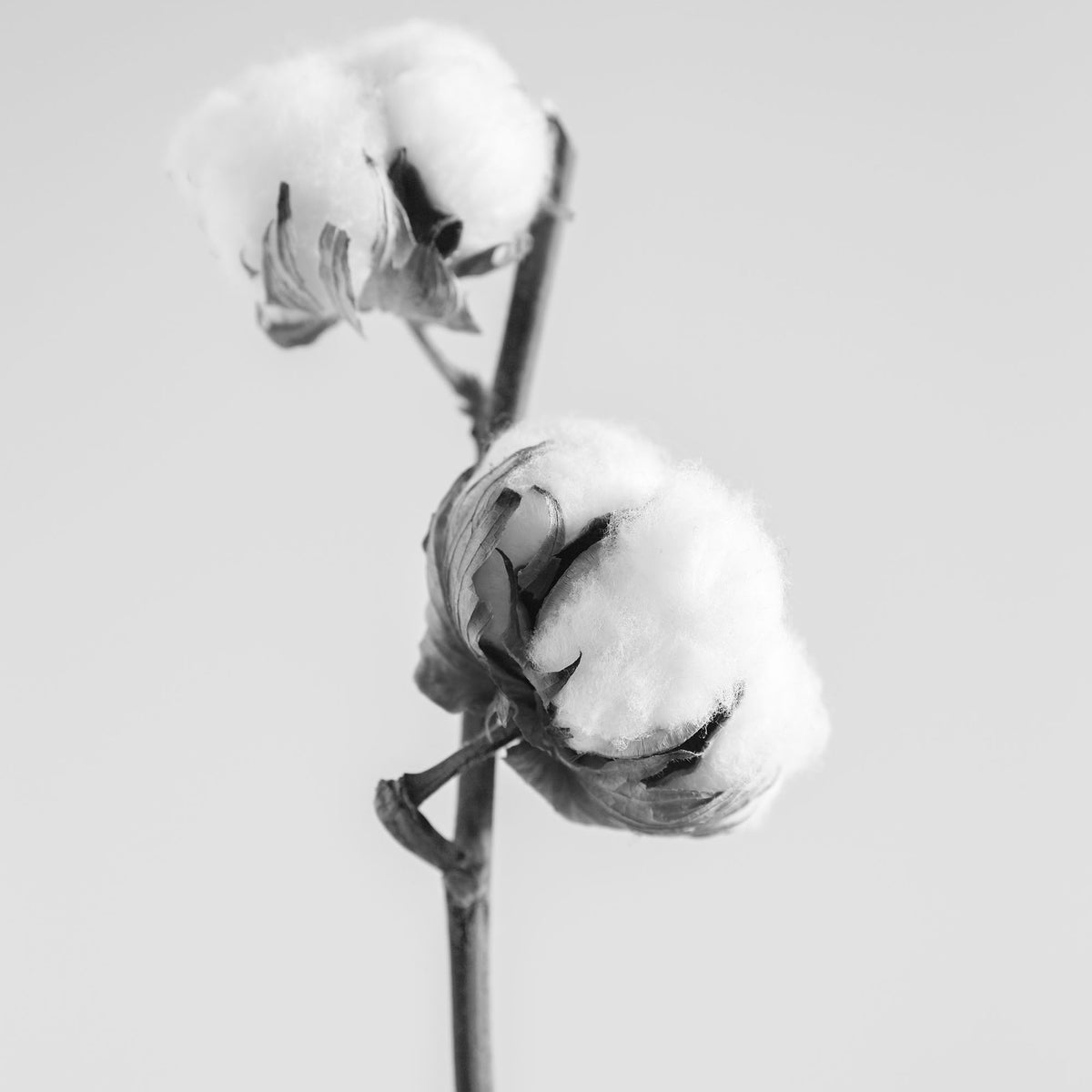 NILO — ça va de soi